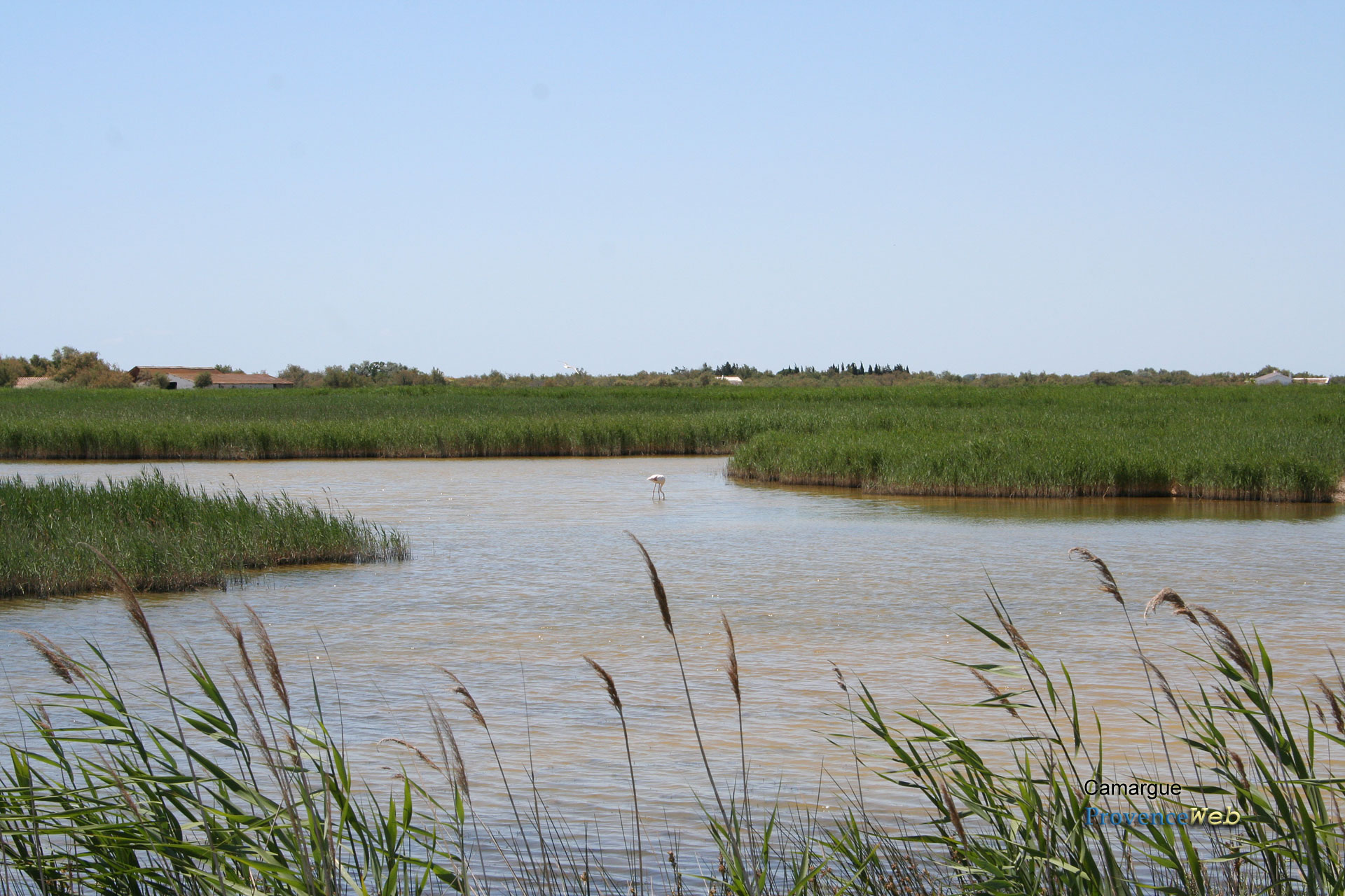 camargue - Agrandissements et Fonds d'écran - Provence Web