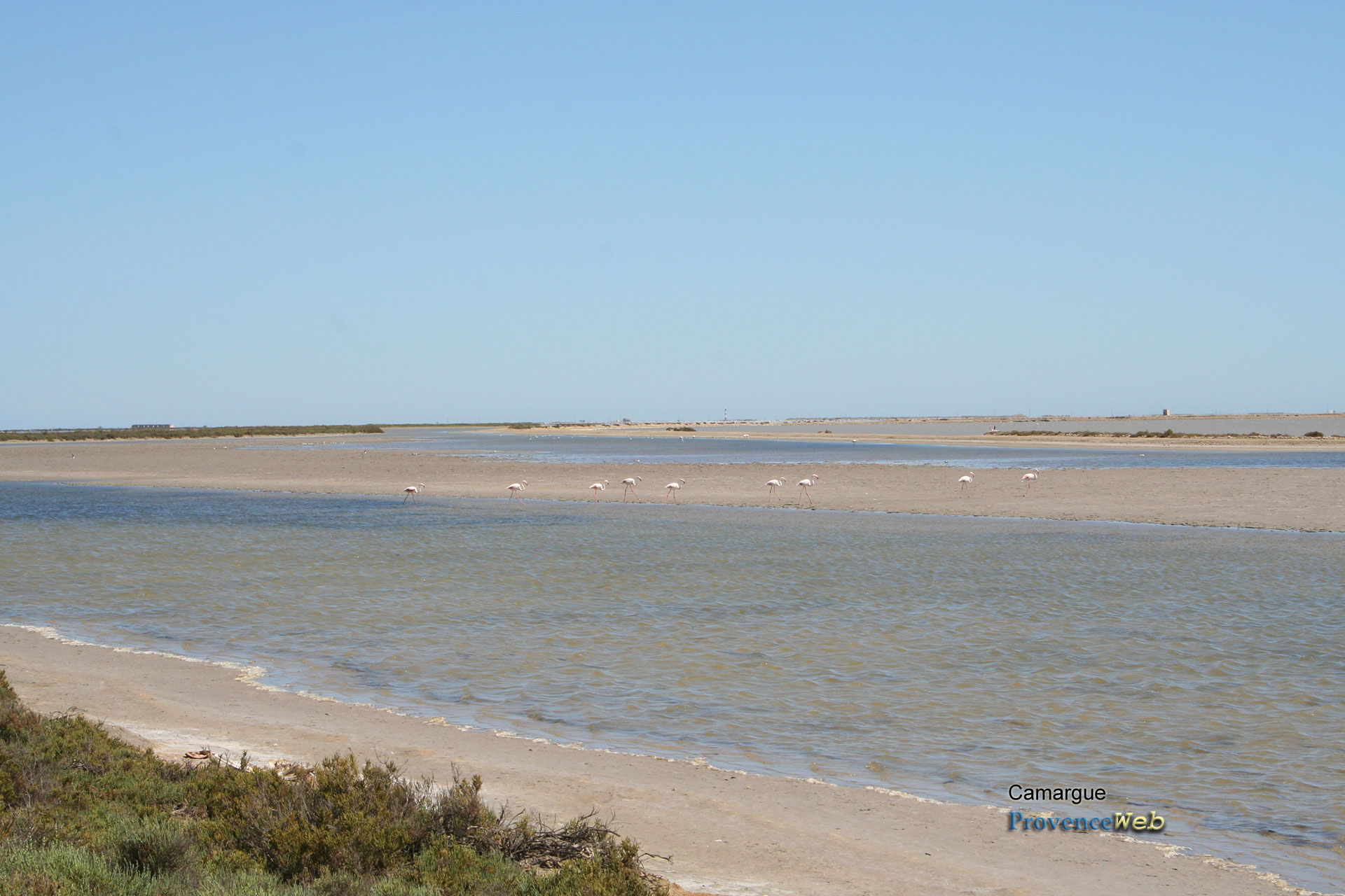 camargue - Agrandissements et Fonds d'écran - Provence Web
